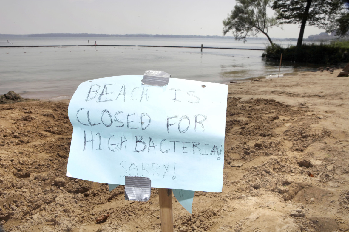 Manure digesters seen as best hope for curbing lake pollution, but ...