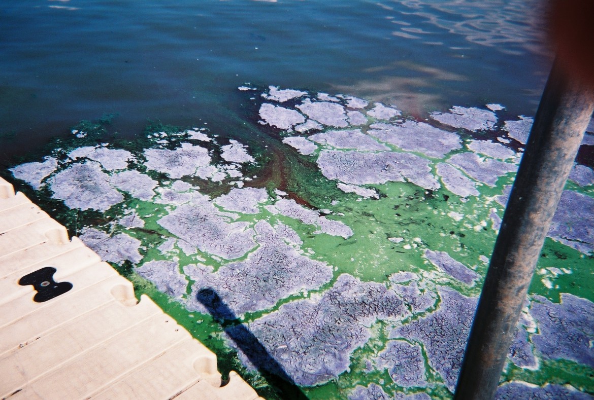 Yahara beach closures highlight algae, bacteria threats statewide ...