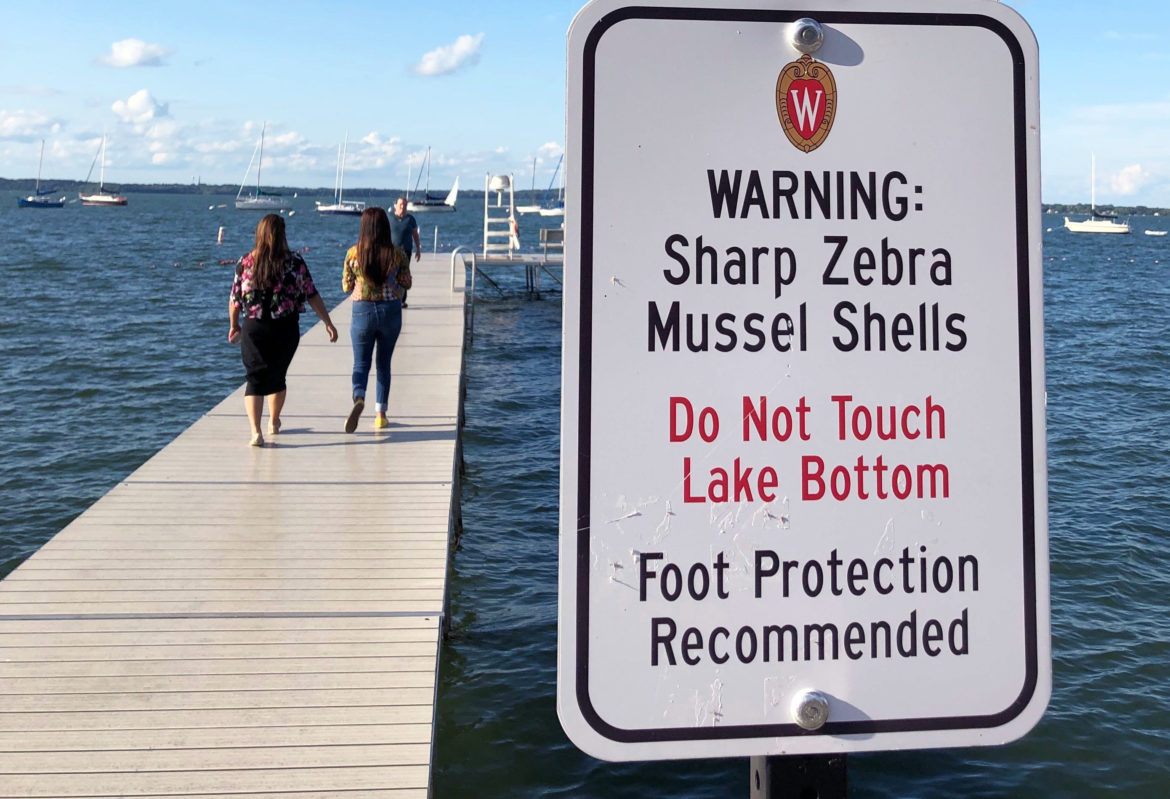 Great Lakes freighters may have to treat ballast water to curb ...