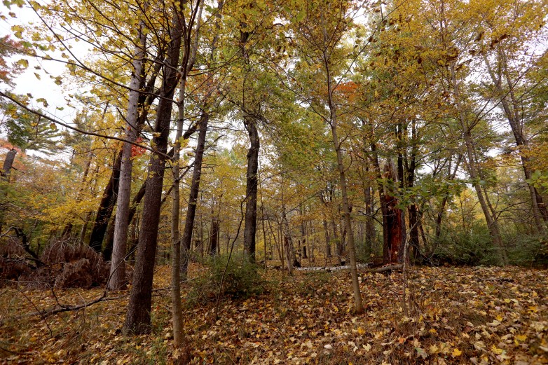Kohler Co. golf course plans along Lake Michigan dealt another setback. Here’s what to know ...