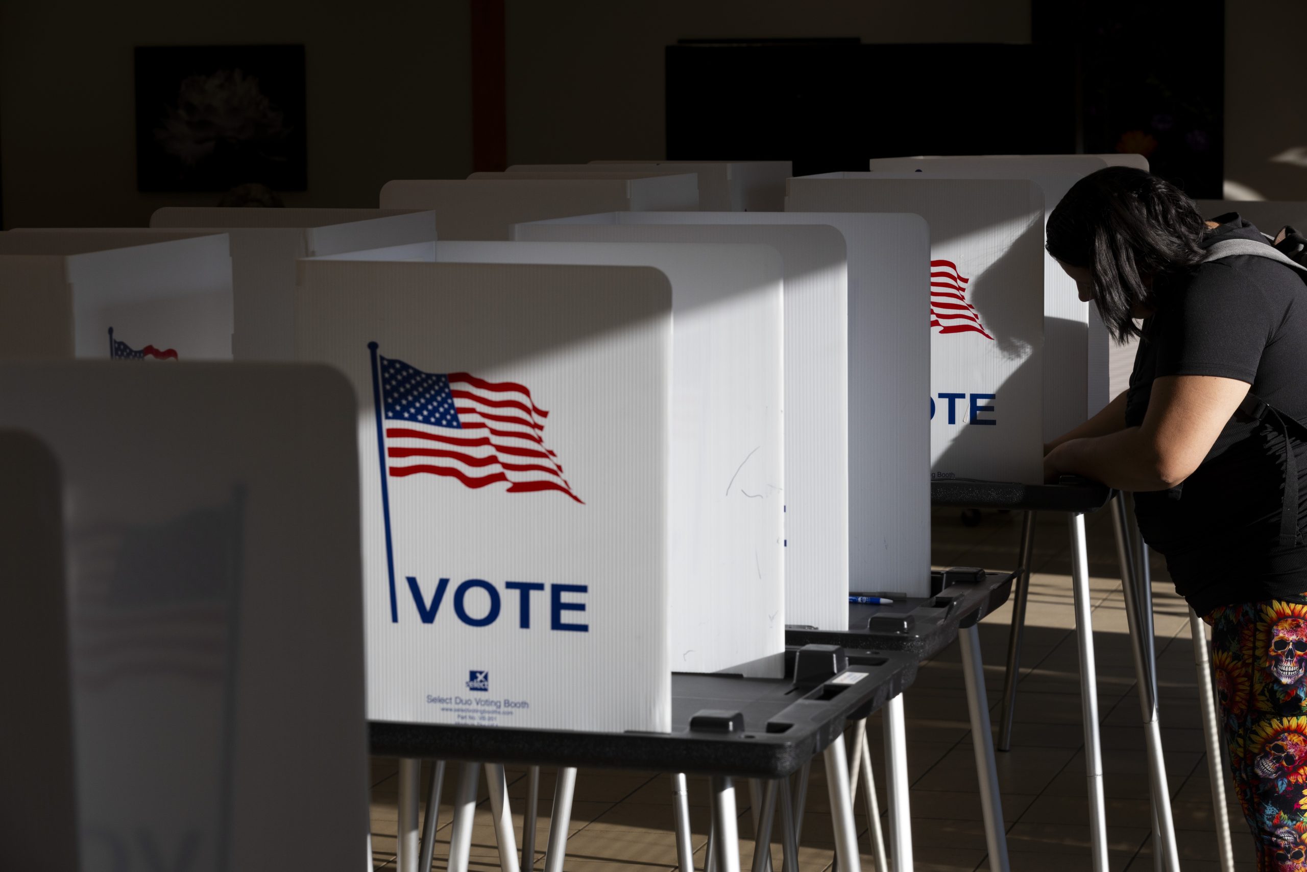 Democratic ground game on display in Wisconsin primary elections