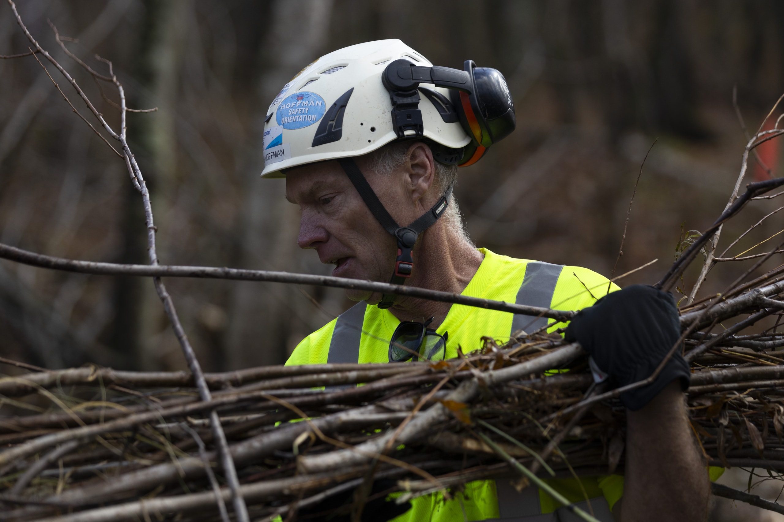 How mock beaver dams could help restore Wisconsin wetlands